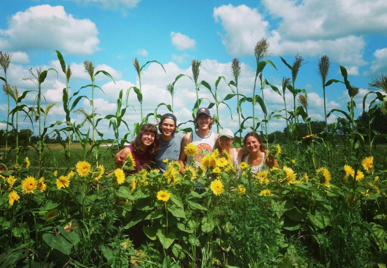 WWOOF: program de voluntariat în ferme ecologice – ECSR