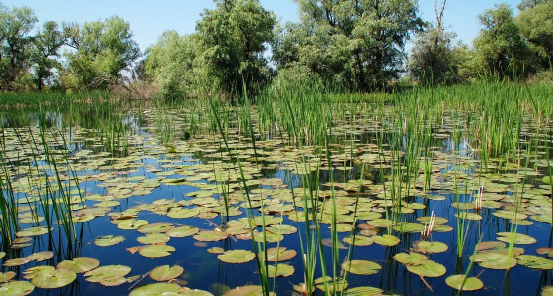 Scădere alarmantă în ultima lună a nivelului apei lacurilor din ...