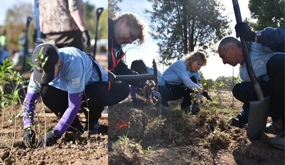 OMV Petrom și Asociația Pădurea Copiilor plantează o livadă terapeutică pentru HOSPICE Casa ...