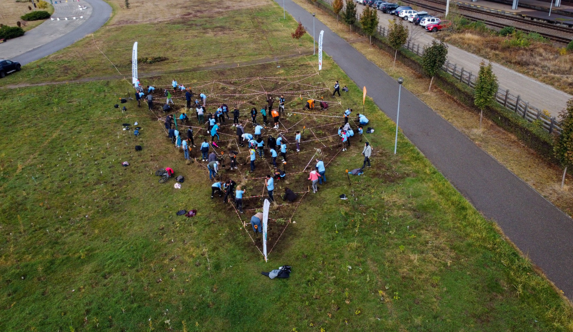 Rezultate notabile pentru Pădurea Copiilor la finalul campaniei de ...