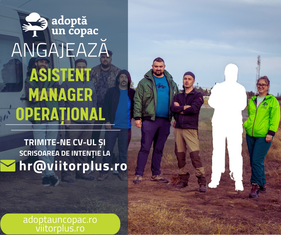ViitorPlus angajează Asistent Manager Operațional – ECSR