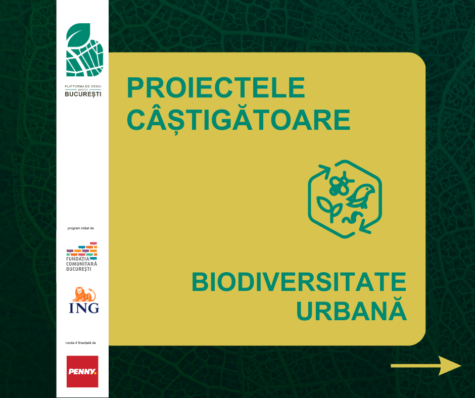 Platforma de mediu pentru București. 3 proiecte câștigătoare în runda ...