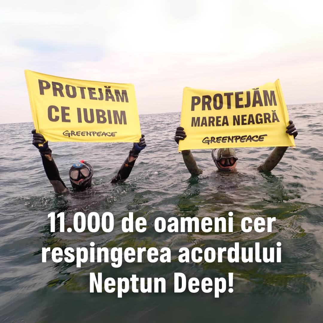 Greenpeace solicită respingerea acordului de mediu pentru proiectul ...