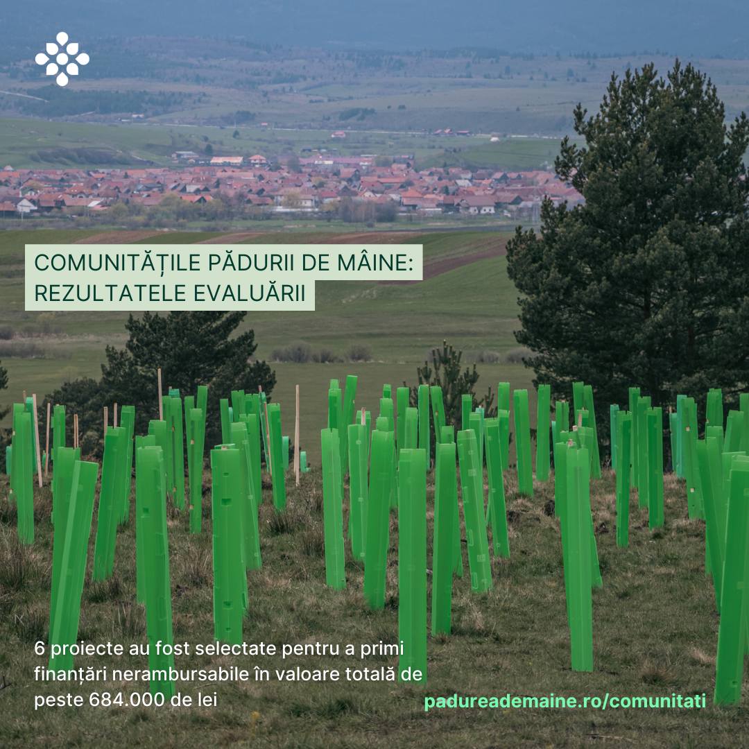 Fundația Pădurea de Mâine a anunțat proiectele finanțate în cadrul programului Comunitățile ...