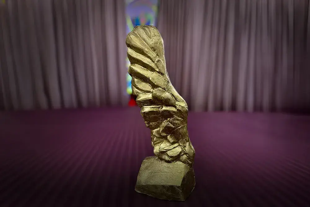 Arctic a câștigat premiul “Sustainability Champion” la Gala BrandRO 2024 – ECSR